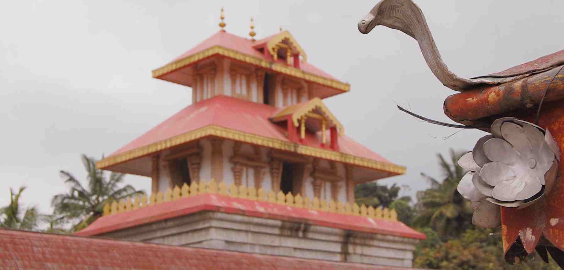 Top 40 Places to Visit in Coorg: Comprehensive Travel Guide
