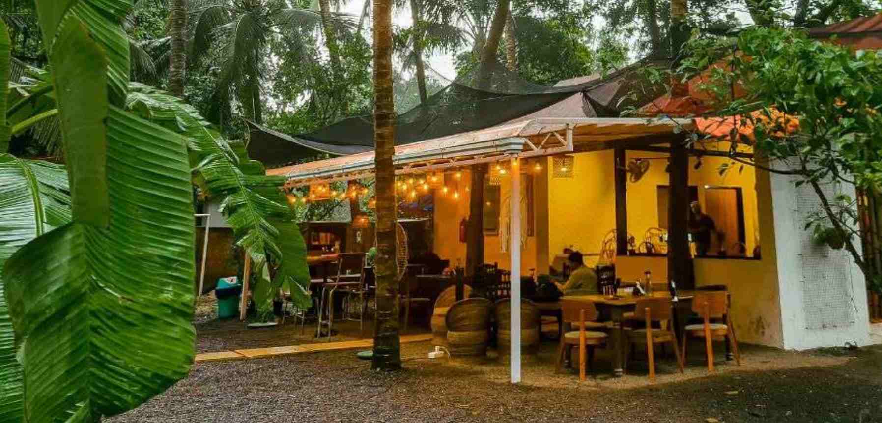 Discover the Best Places to Visit in Jibhi 2026
