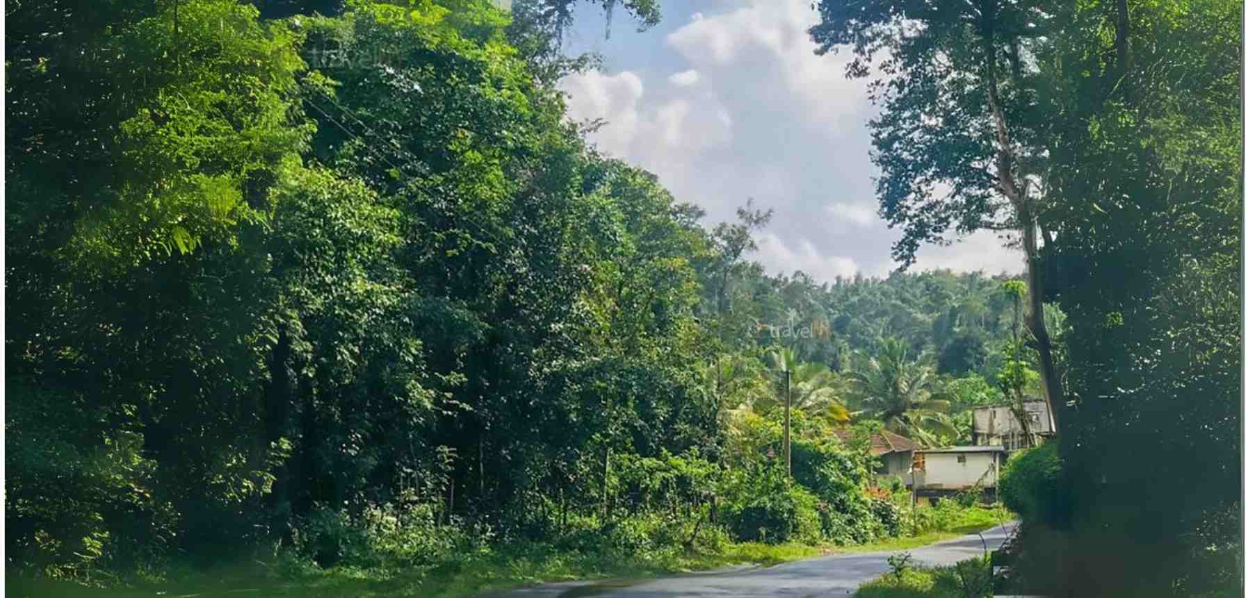 Top 40 Places to Visit in Coorg: Comprehensive Travel Guide