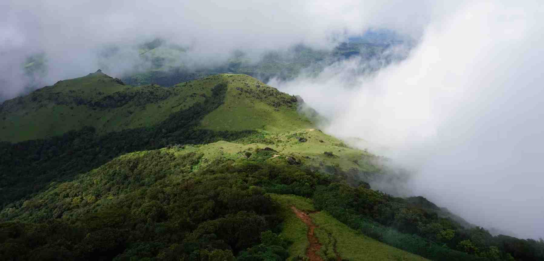 Top 40 Places to Visit in Coorg: Comprehensive Travel Guide
