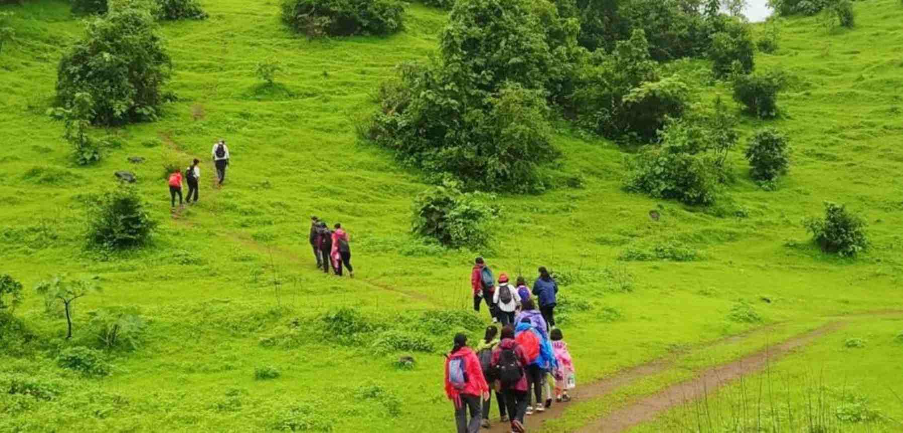 Explore Ananthagiri Hills for its Exceptional Beauty 2026