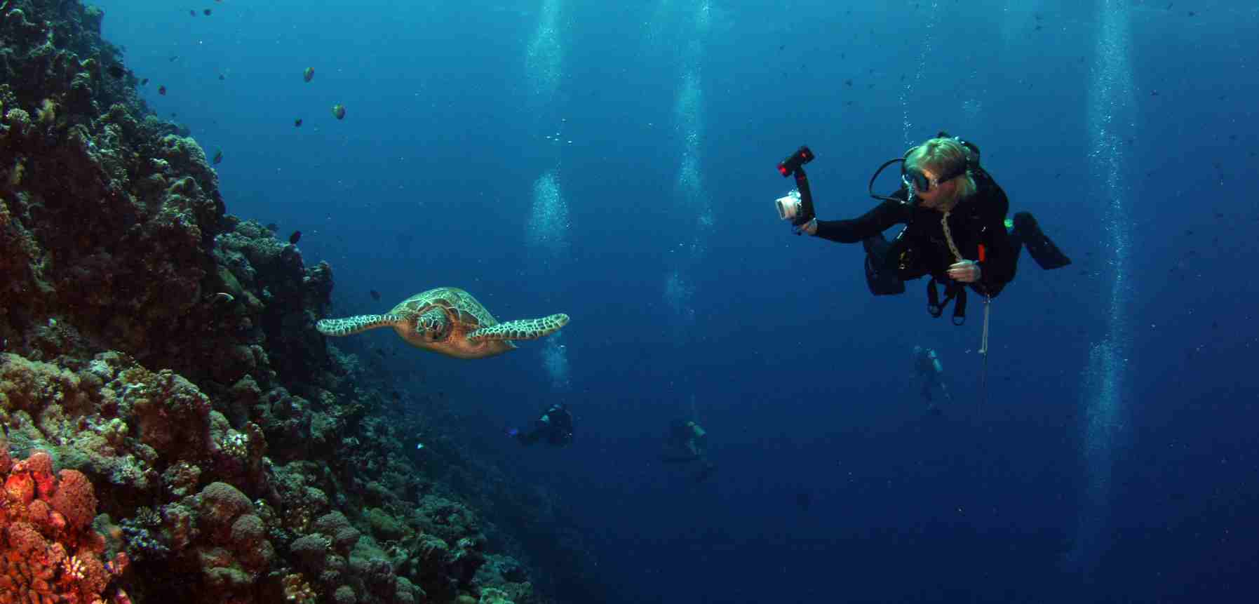 15 Best Things to Do in Maldives: Fun Thrilling Adventure
