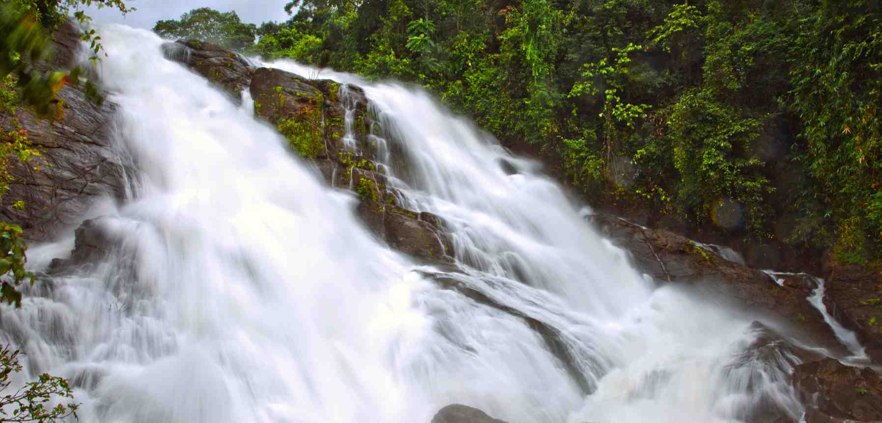 Athirappilly Waterfalls: Best Waterfall in Kerala 2025