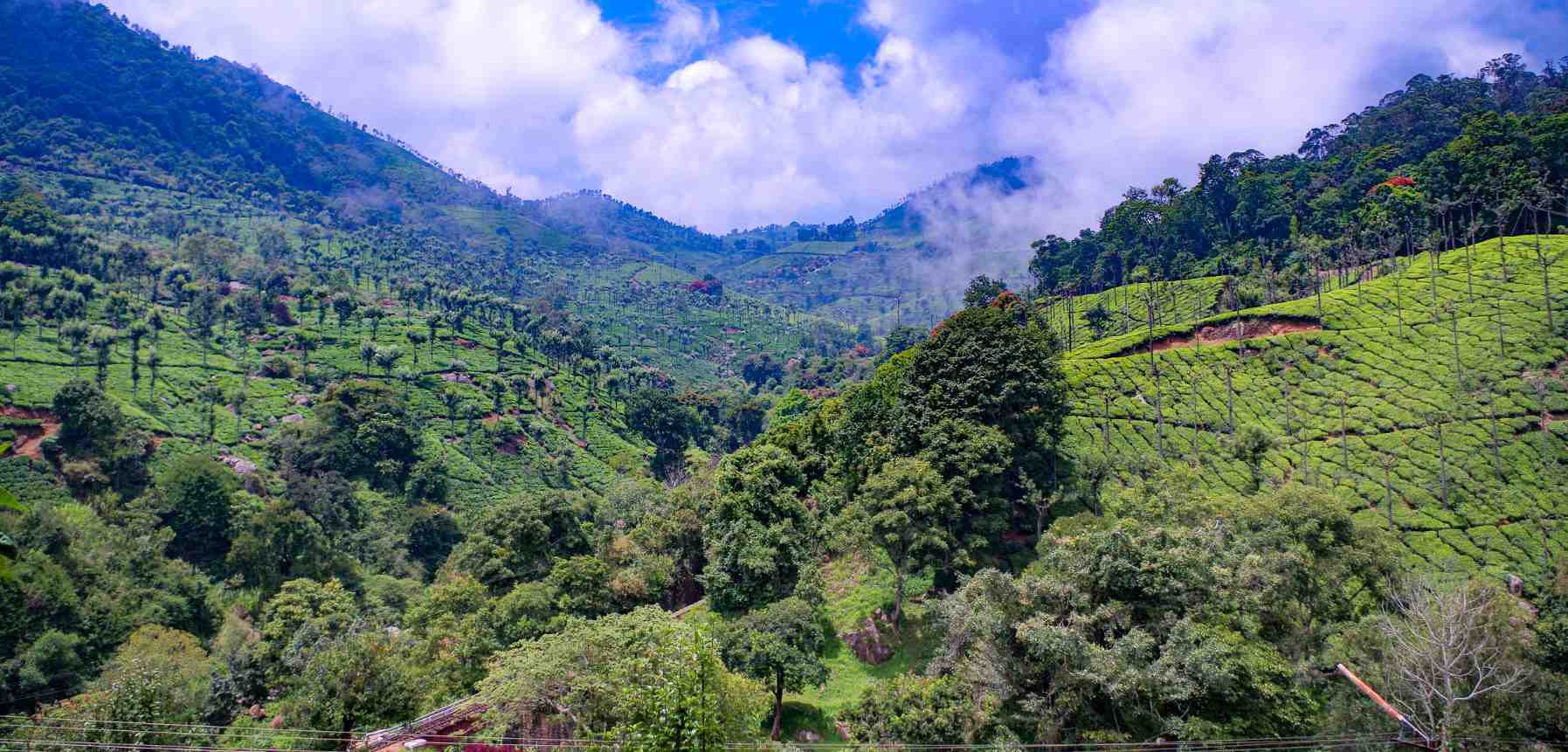 Best 10 Hill Stations in South India: Ooty to Munnar