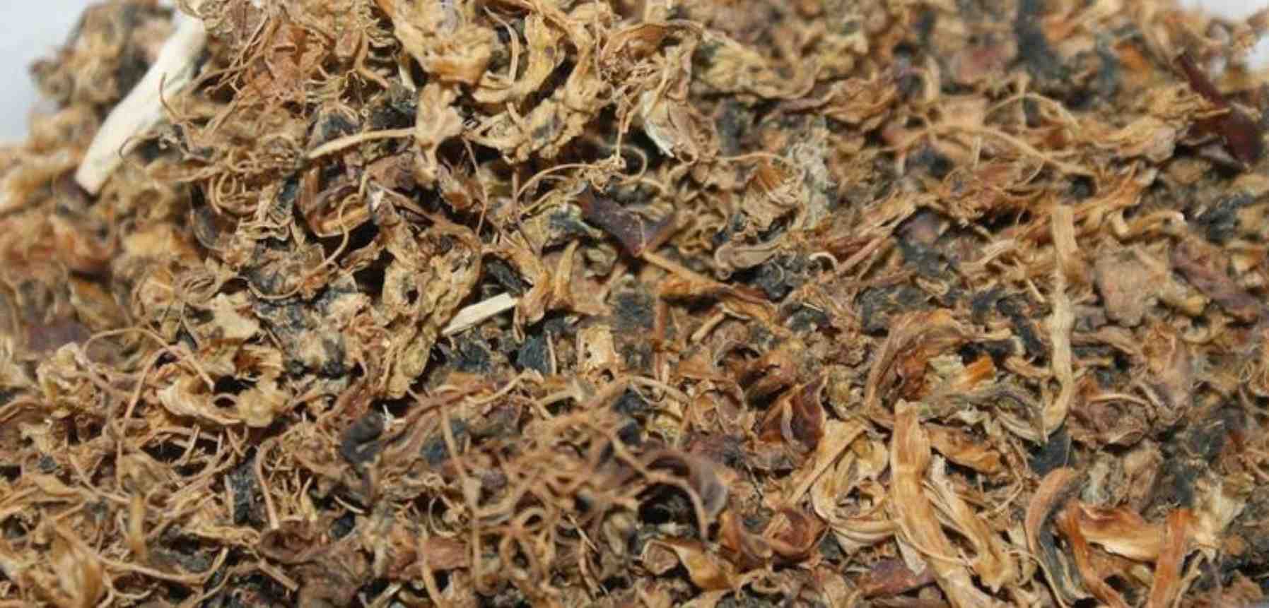 Top 15 Famous Food of Sikkim Must Have in 2026
