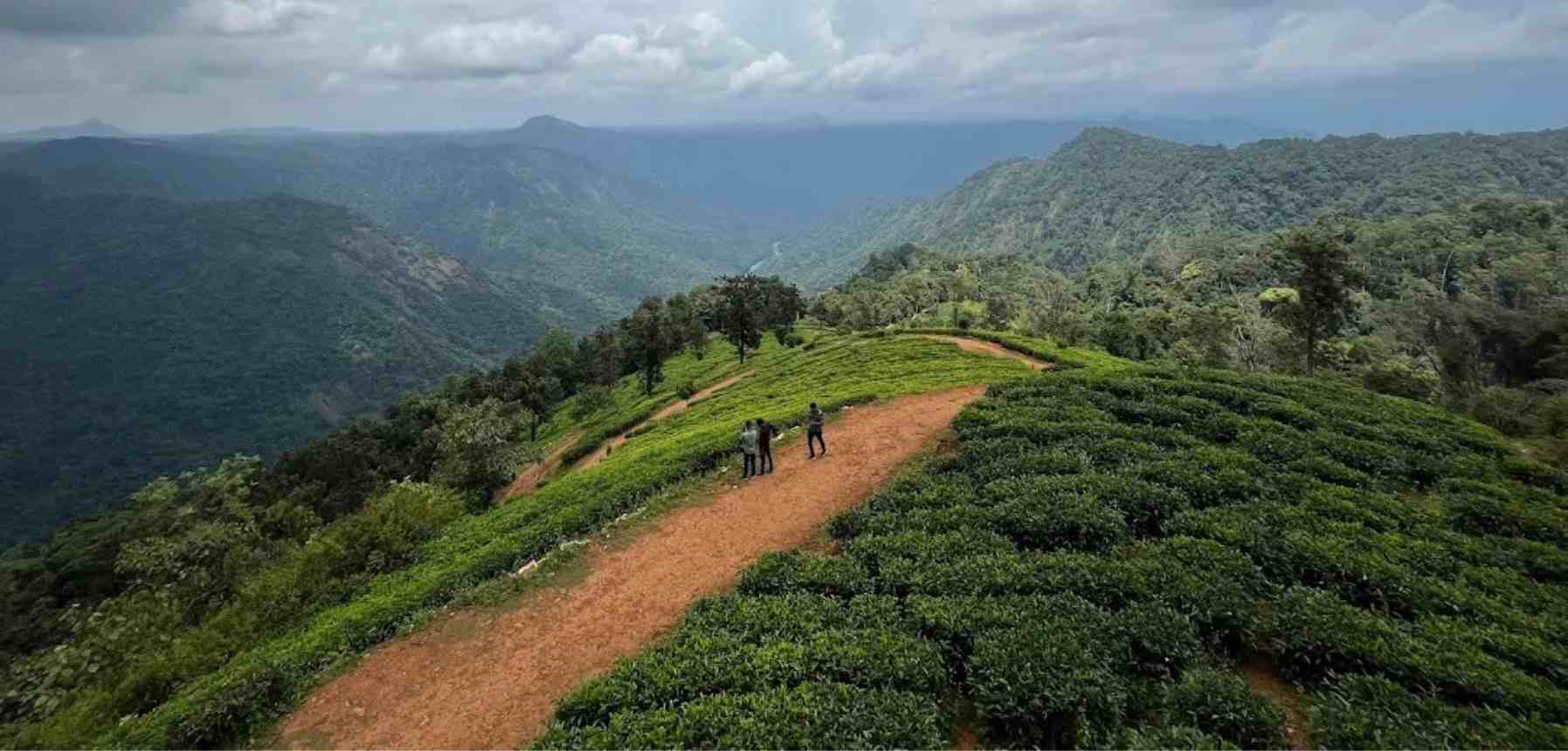 20 Best Places to Visit in Wayanad in 2026