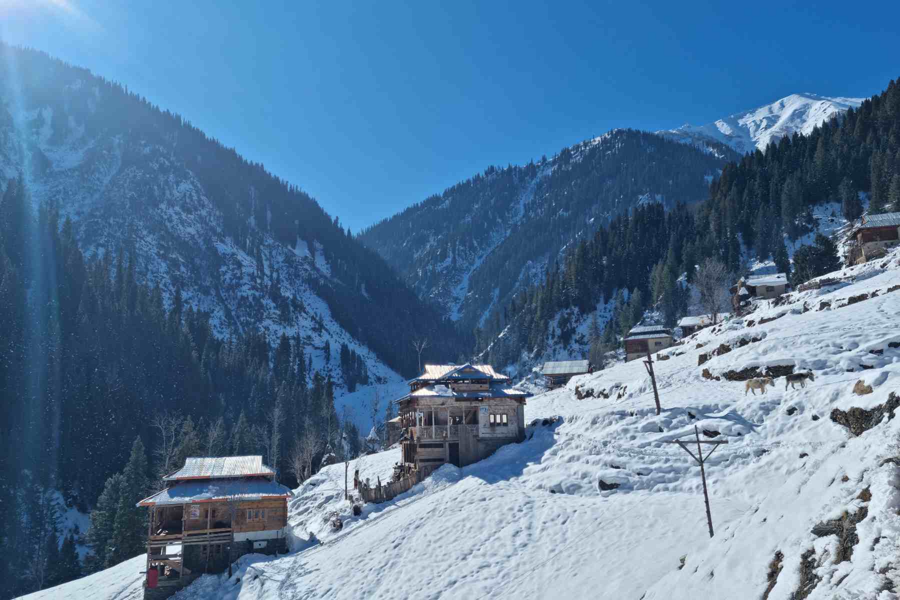 Discover Coldest Places in India: Ladakh, Jammu & More 2026
