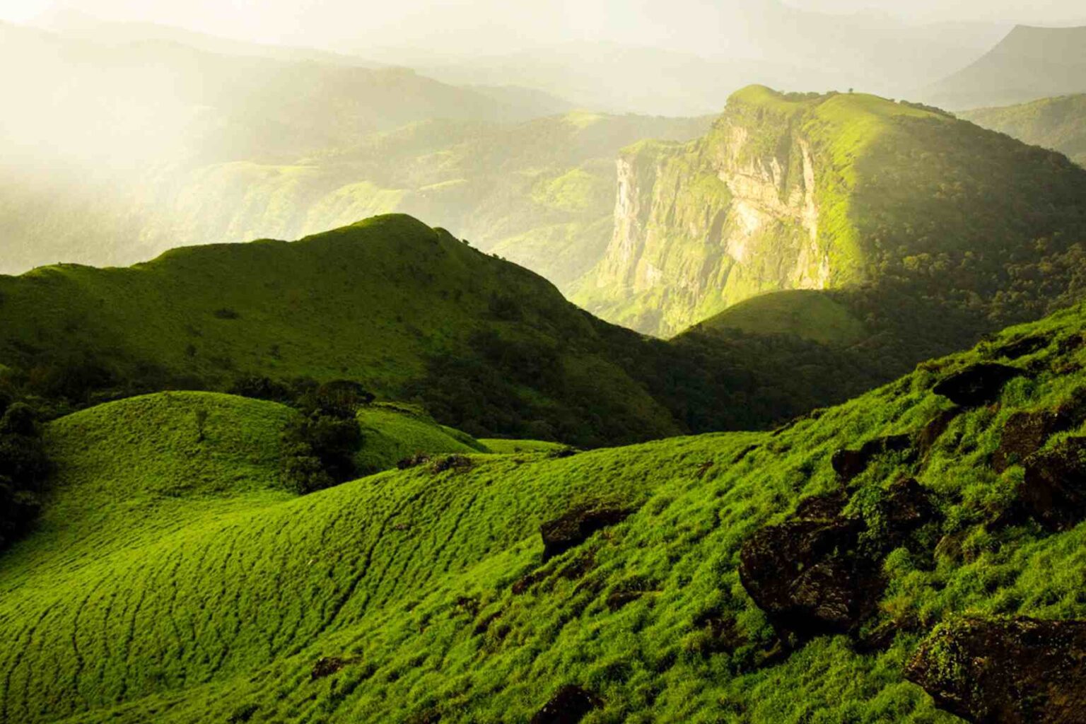 Best 10 Hill Stations in Karnataka: Coorg, Sirsi, and more