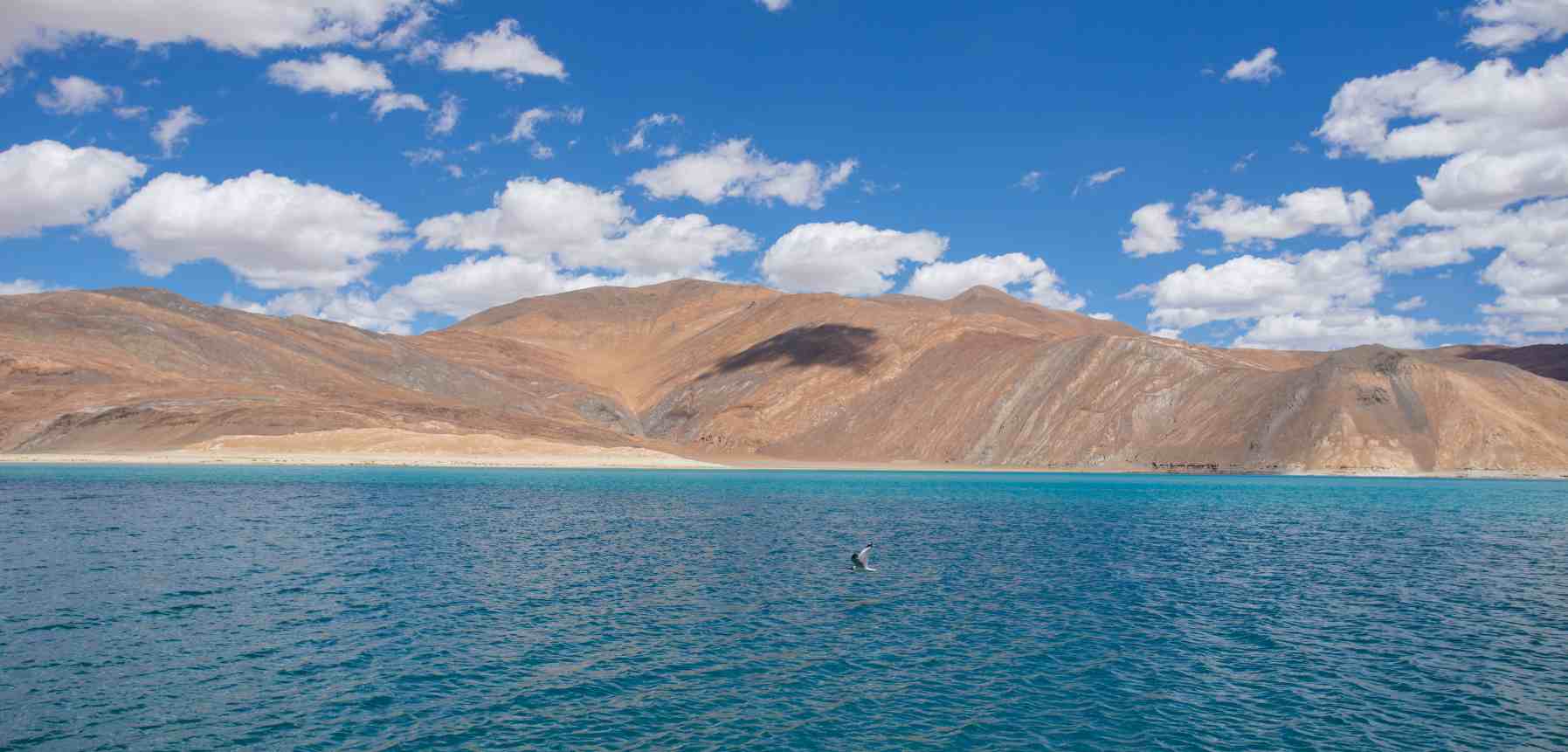 Explore 11 Best Places to Visit in Ladakh With TripzyGo 2026