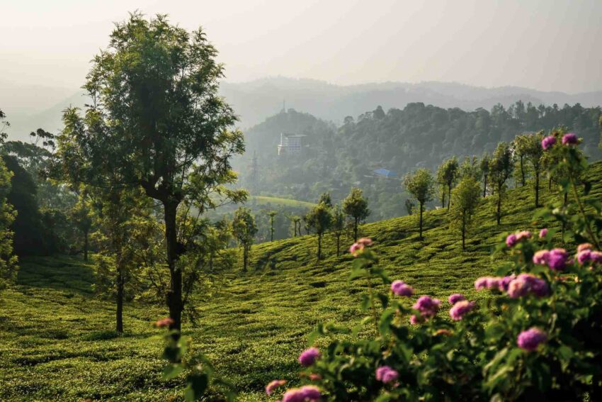 15 Best Hill Stations in Kerala and Hill Resorts 2025