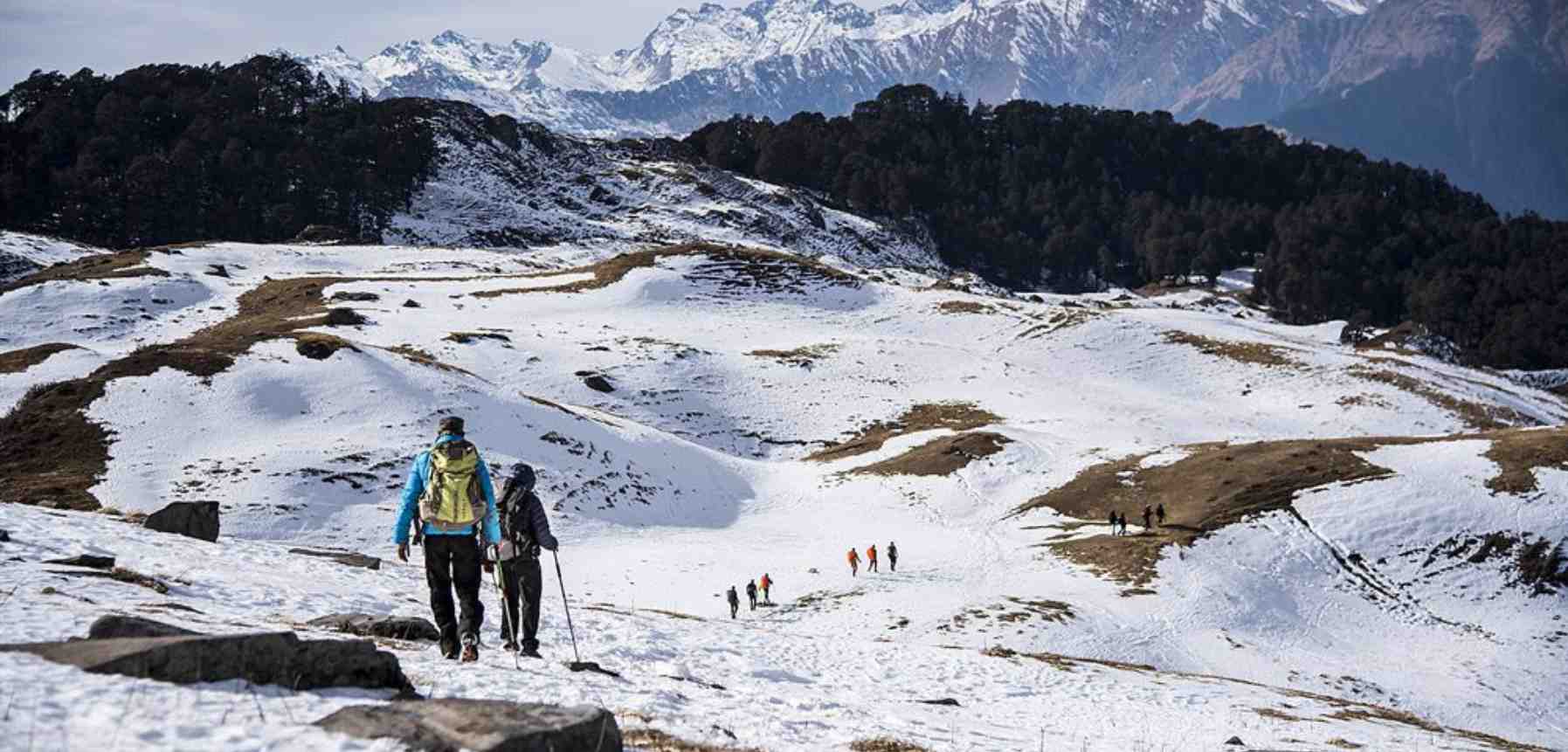 Kuari Pass Trek: Complete guide, Height and Distance 2025
