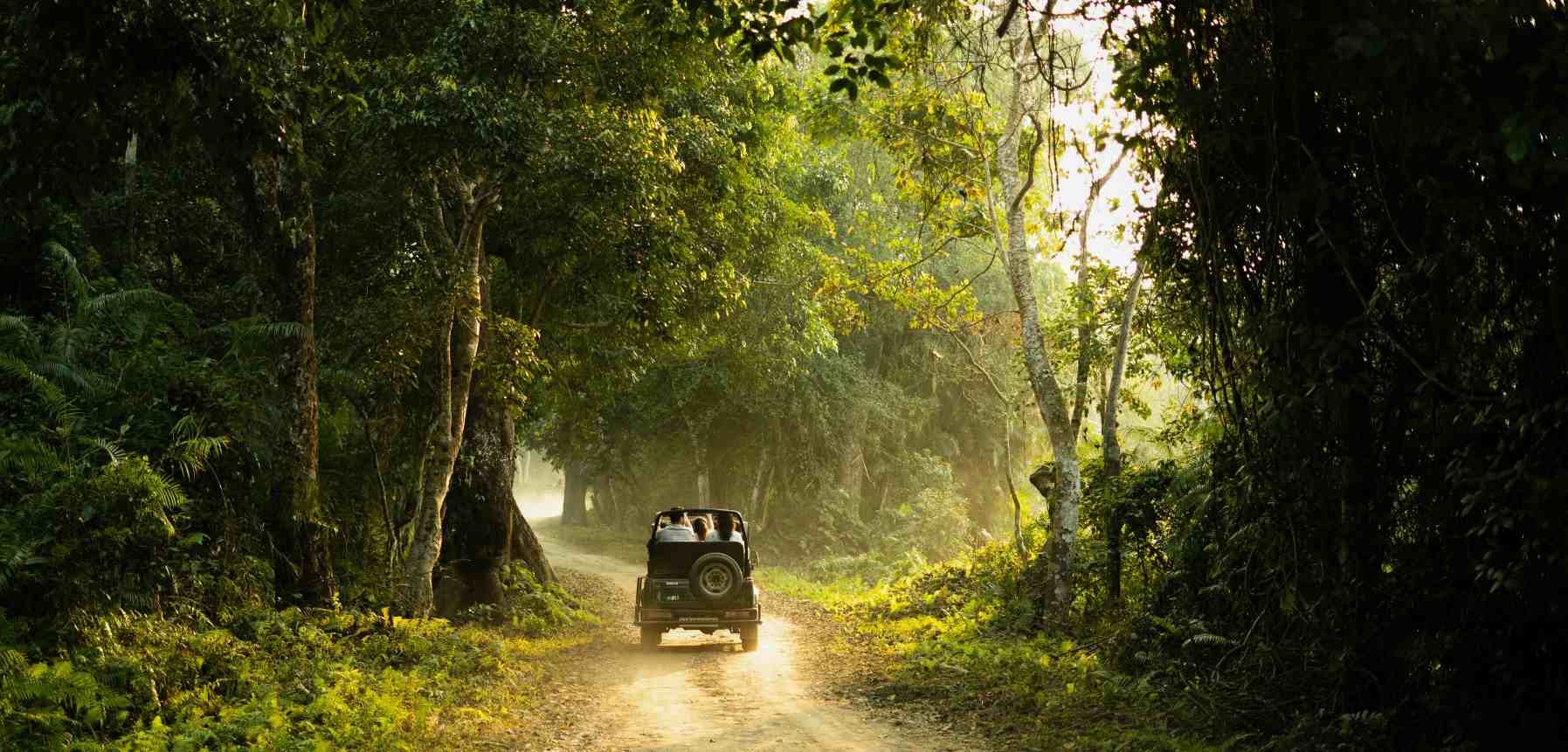 Bhaje Waterfall: A Must-Visit Gem Near Lonavala 2025