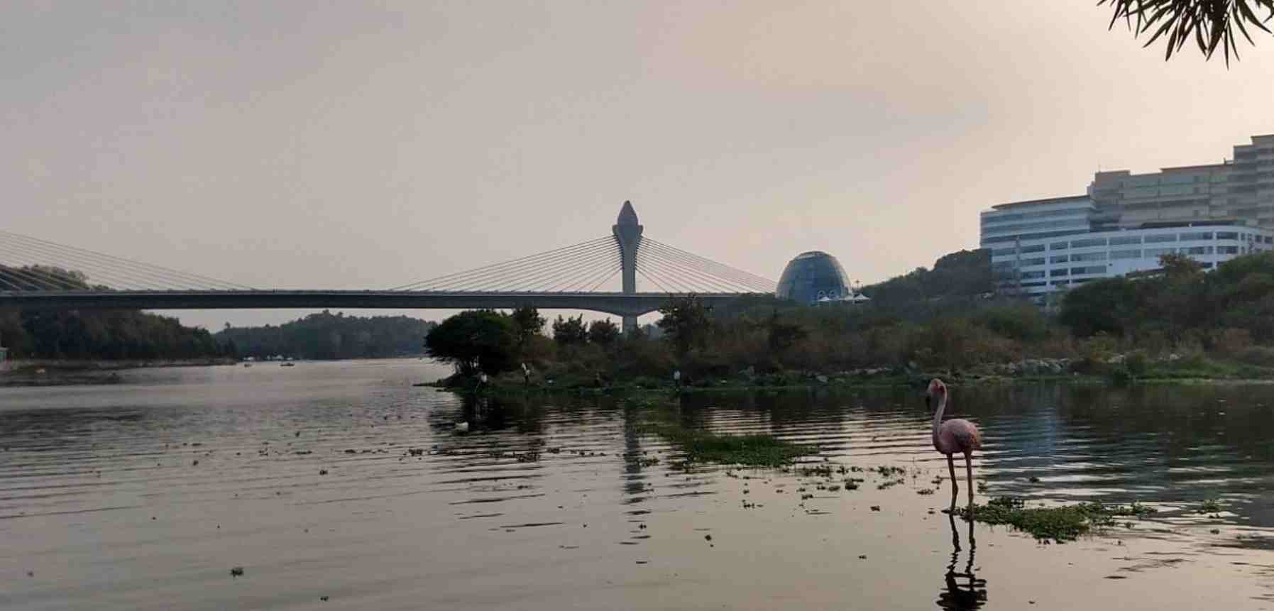 Durgam Cheruvu Cable Bridge: Iconic Landmark & Night Lights