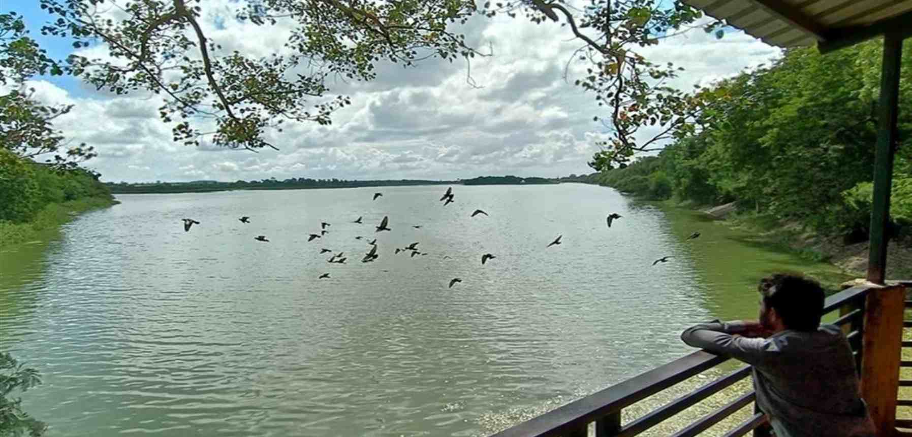 Sirpur Lake Indore, Best Nature Spot for a Picnic 2025
