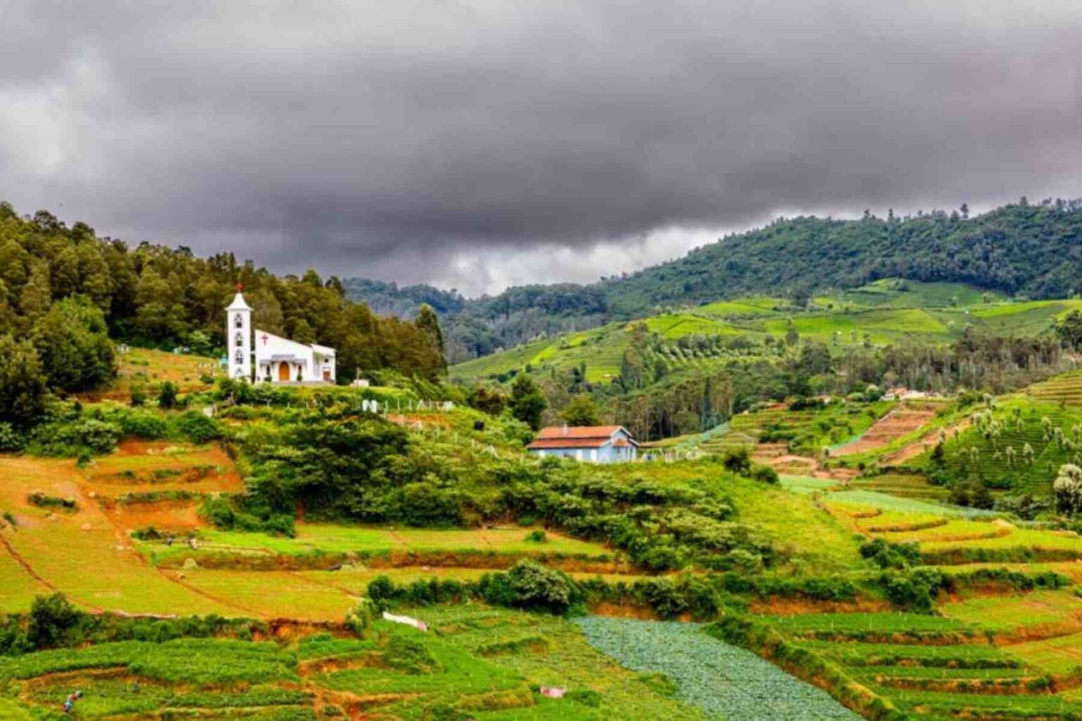Best Time to Visit Ooty, Seasons, Travel Tips & More 2026