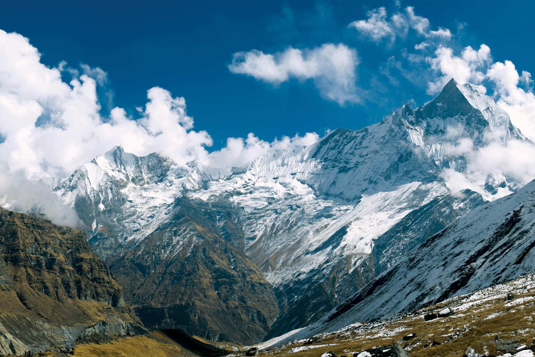 Goechala Trek Sikkim – Complete Guide by TripzyGo
