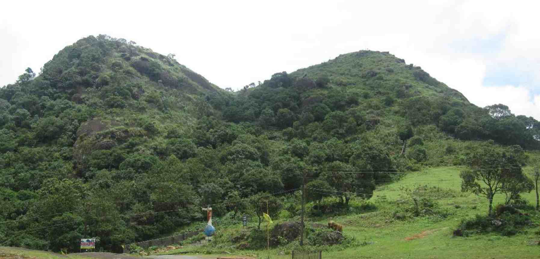Best 10 Tourist Places to Visit in Vagamon – TripzyGo Guide