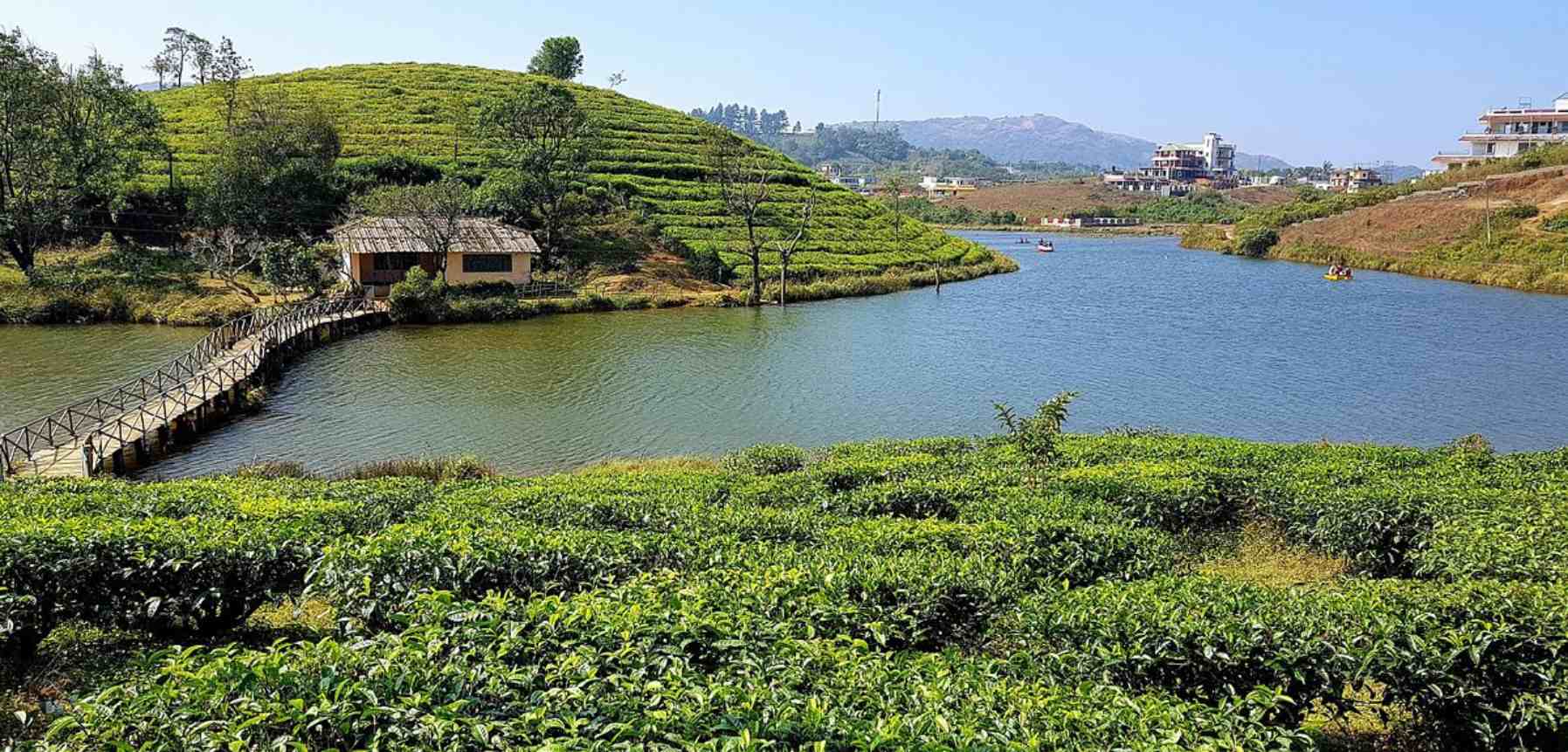 Best 10 Tourist Places to Visit in Vagamon – TripzyGo Guide