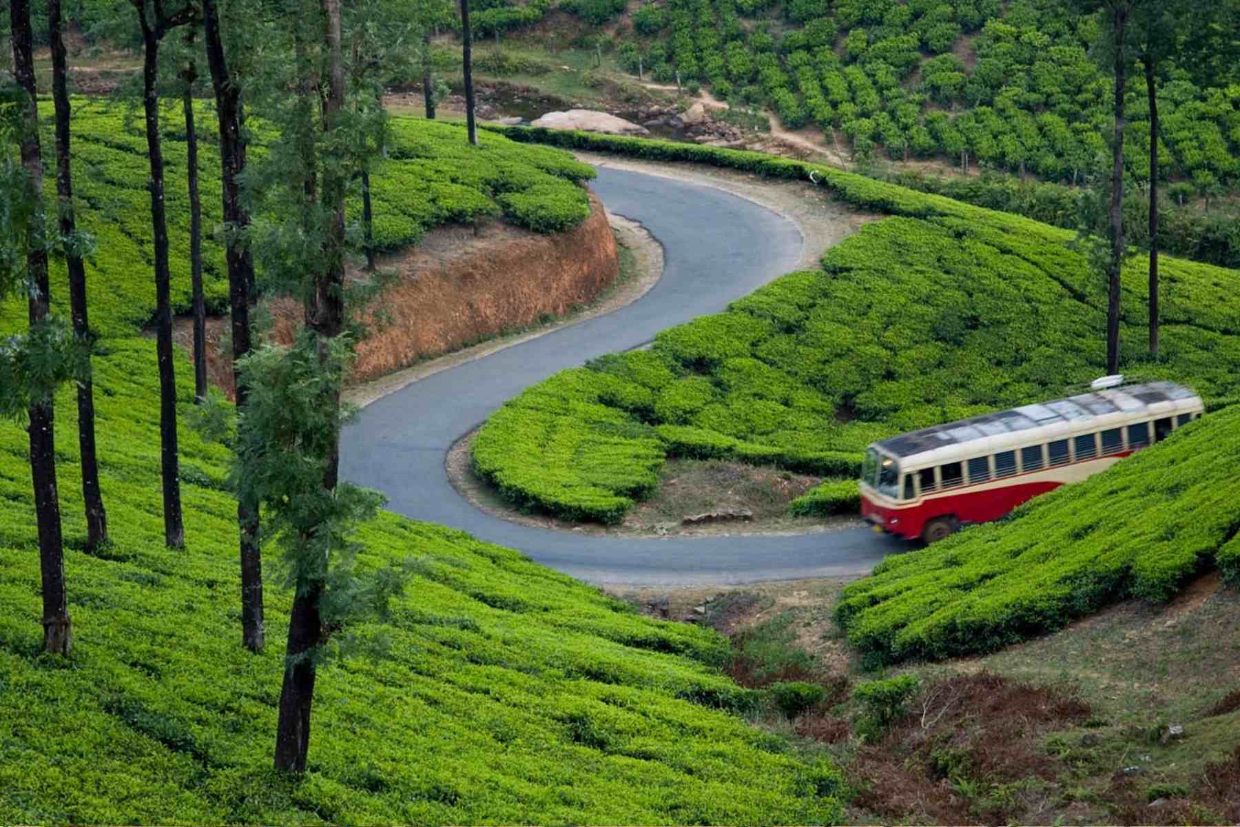 Best 10 Tourist Places to Visit in Vagamon – TripzyGo Guide