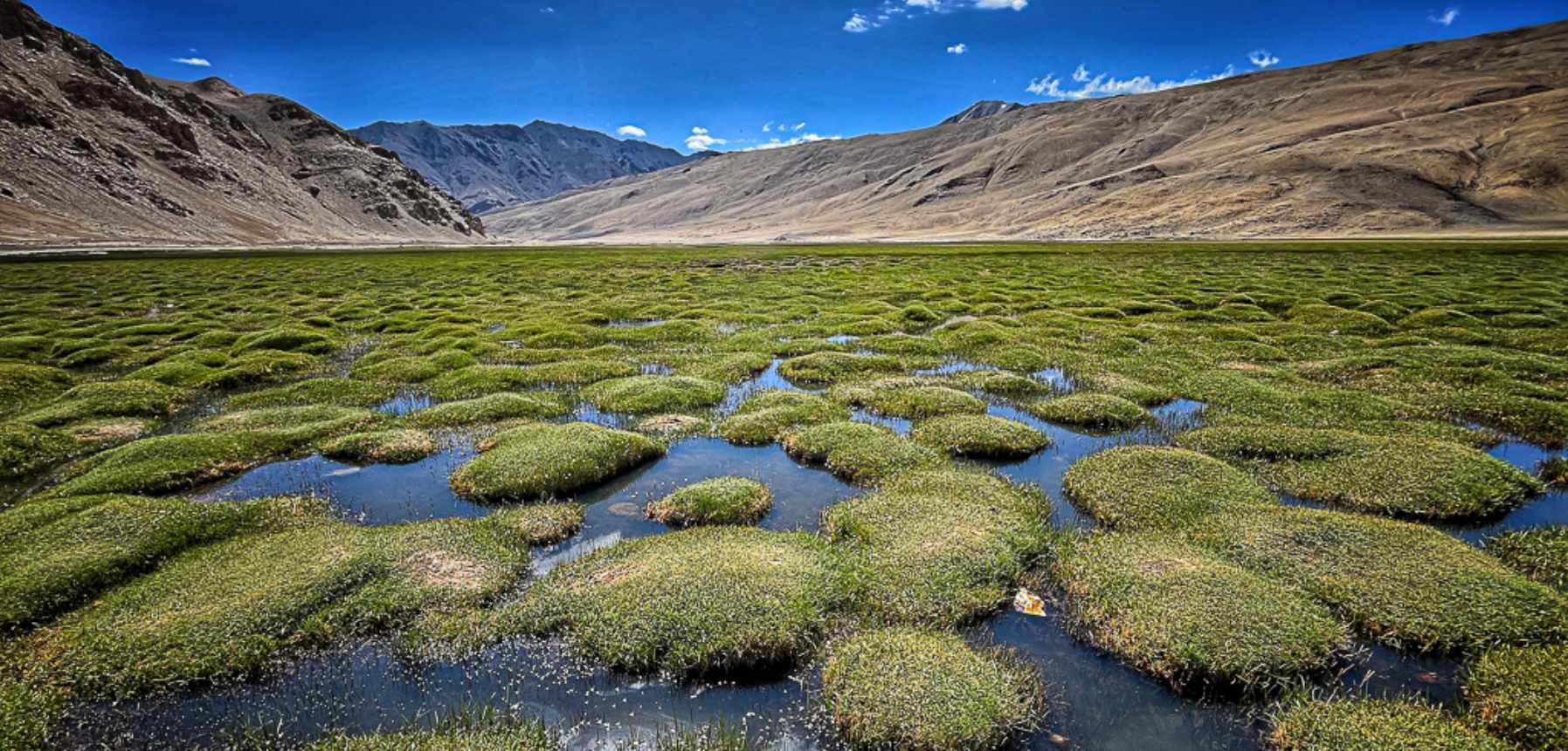 Puga Valley: Visit Ladakh’s Hidden Hot Water Wonder 2026