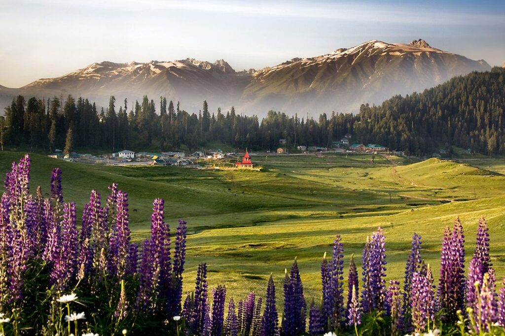 Kashmir in January Best Guide 2026: Scenic Winter Wonderland